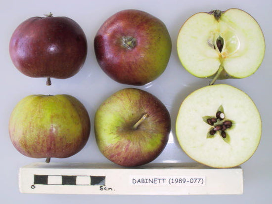 Dabinett – One Planet Organics