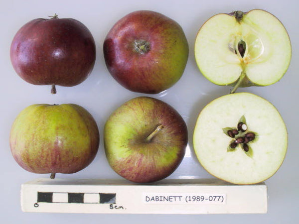 Dabinett – One Planet Organics